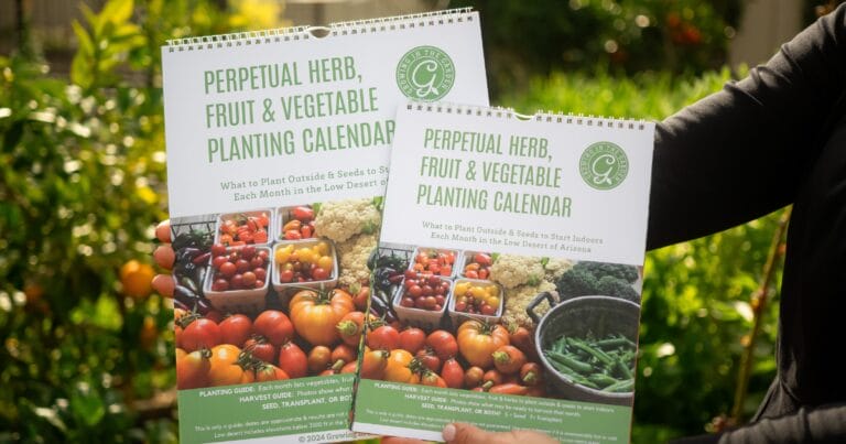 Arizona Vegetable Planting Calendar - Growing In The Garden