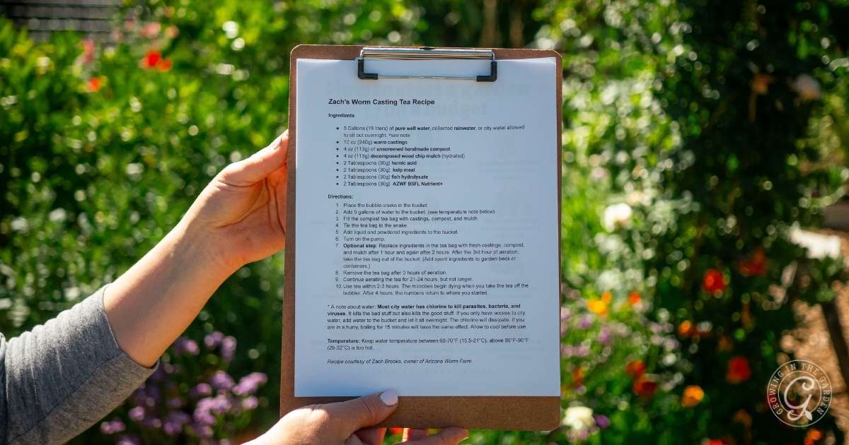 How & Why to Make Worm Castings Tea - Growing In The Garden