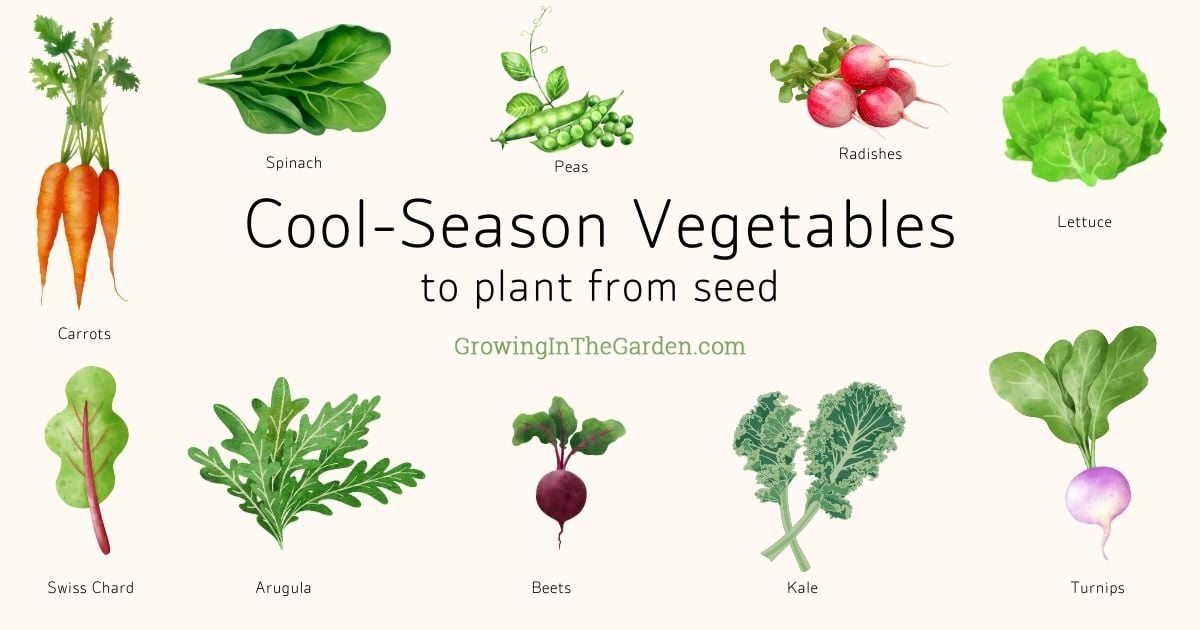 10 Easy Cool-Season Vegetables to Plant from Seed