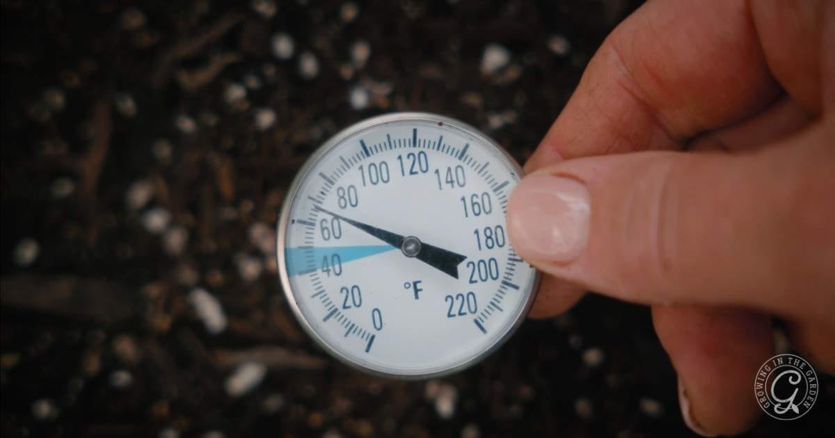 How to Measure Soil Temperature Before Planting - Growing In The Garden