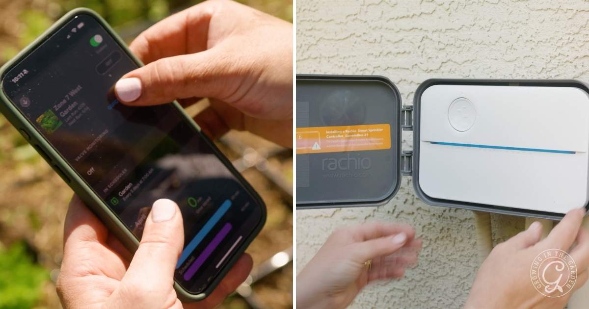 How to Water Your Garden - Growing In The Garden