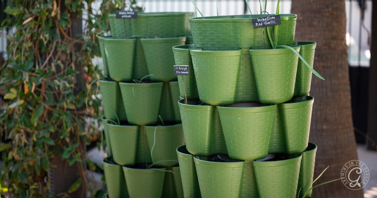 Top Garden Gifts: Tools, Treasures, and AZ-Inspired Apparel - Growing ...