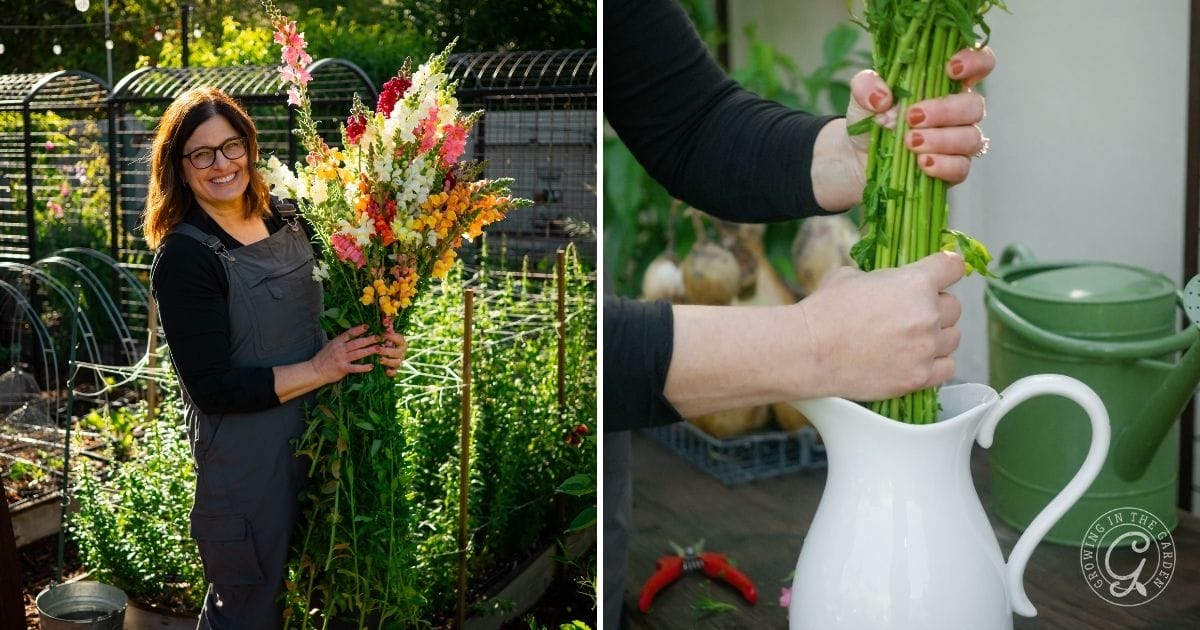 The Secret to Perfect Cut Flowers: Plant Support Netting - Growing In ...