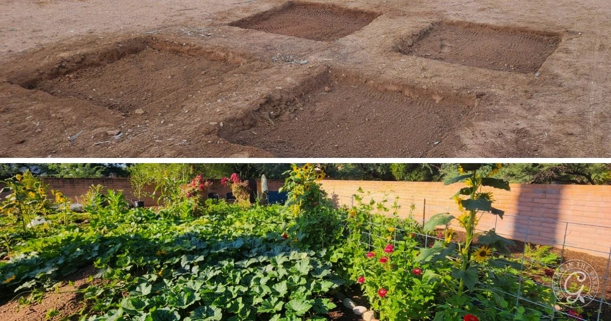 Desert Gardening: How to Grow Vegetables in a Hot, Dry Climate ...