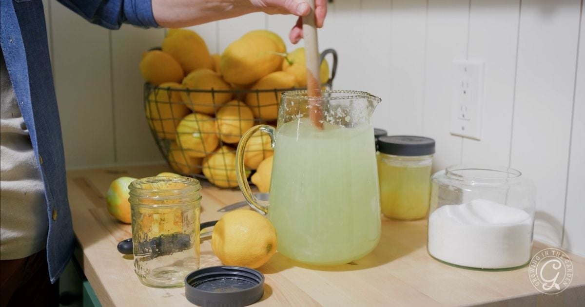 The Best Homemade Lemonade Recipe - Improve My Home 24