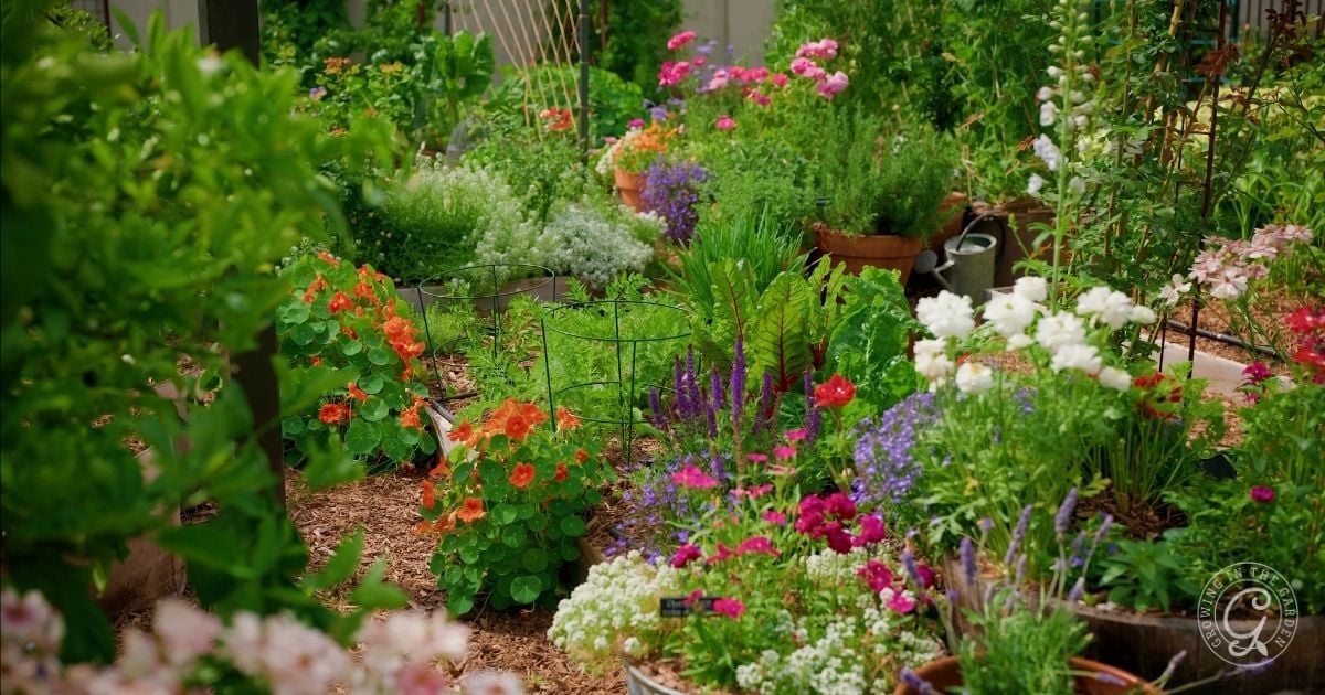 Planting for Pollinators: Create an Insectary Garden Anywhere Planting for Pollinators: Create an Insectary Garden Anywhere
